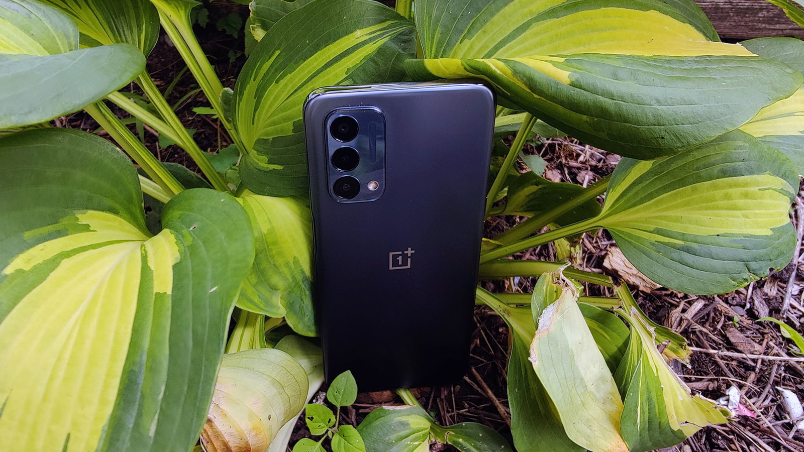 OnePlus Nord N200 5G Review - CGMagazine