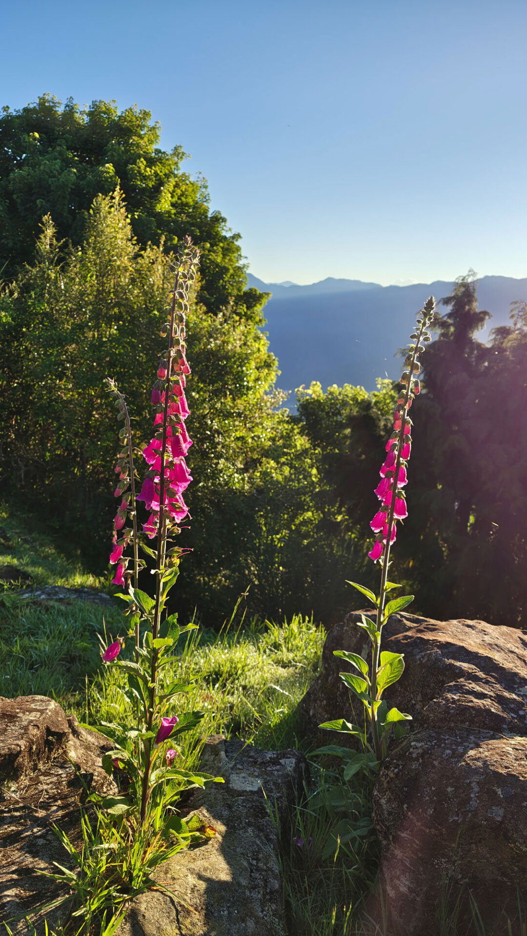 Motorola Razr Ultra 2025 Smartphone Review - CGMagazine