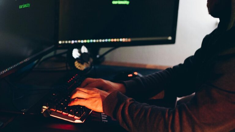 The Risks of Online Gaming for Minors